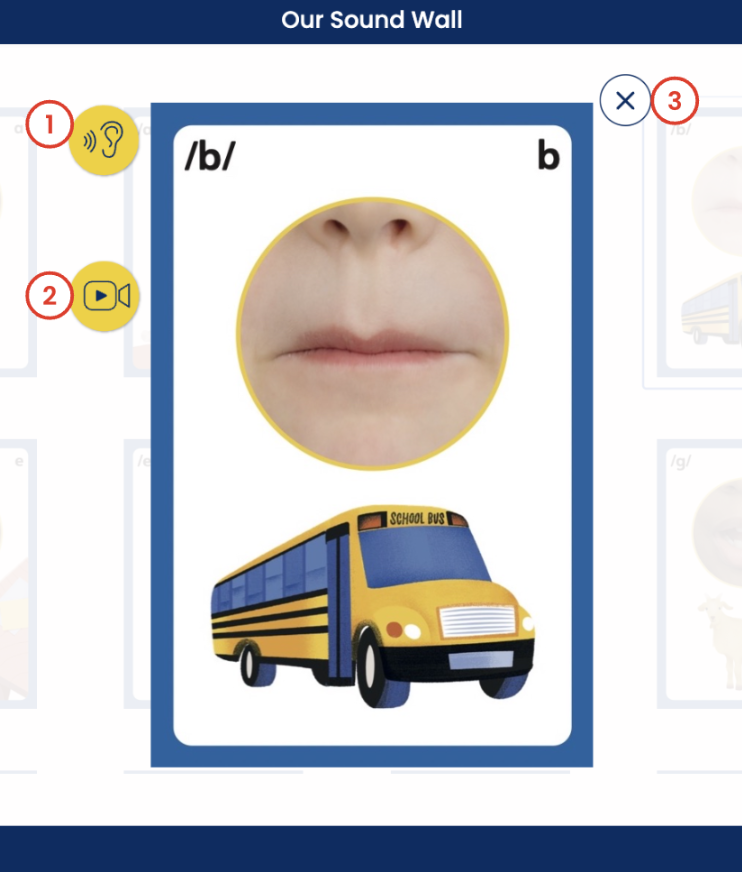 How do I use the Digital Sound Wall Cards on myHeggerty?
